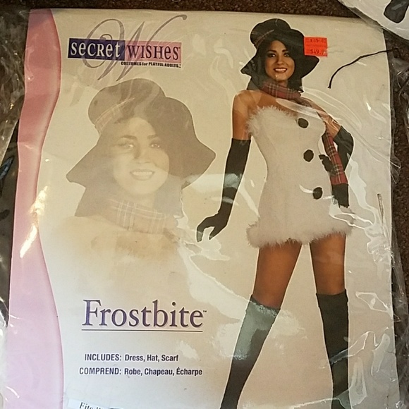Secret Wishes | Other | Secret Wishes Frostbite Costume | Poshmark